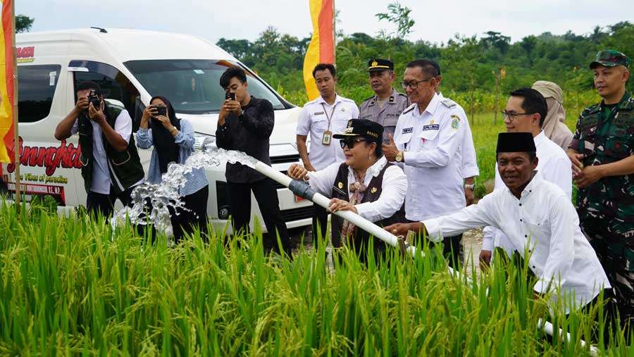 Poktan Sido Rukun Terima Bantuan Irigasi Ladang, Sepanjang Tahun Bisa ...
